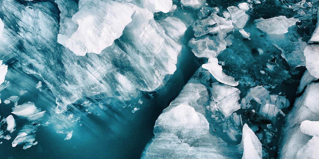 TNFD 自然関連情報開示のグローバル先進事例